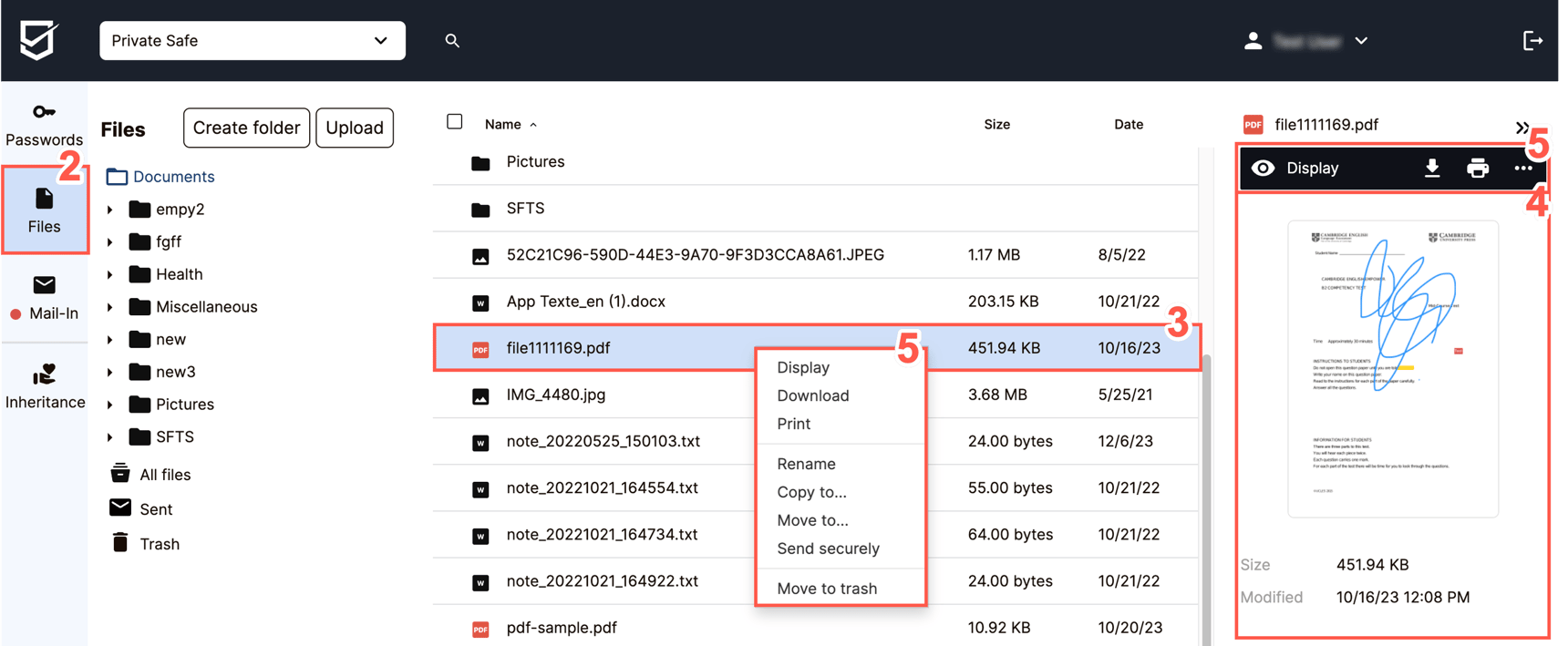 Files Interface: Organizing Files on SecureSafe
